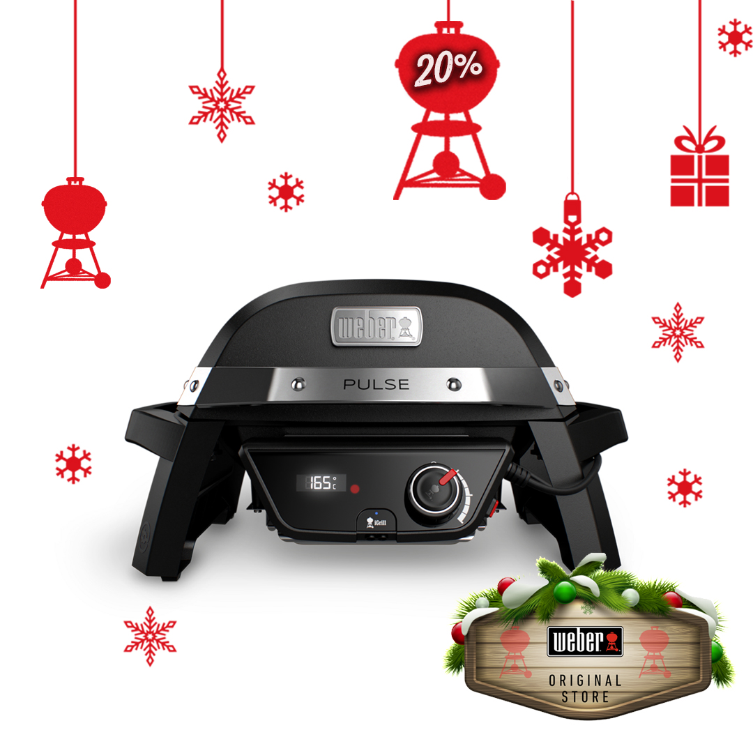 Weber® PULSE 1000 - Weber Original Store